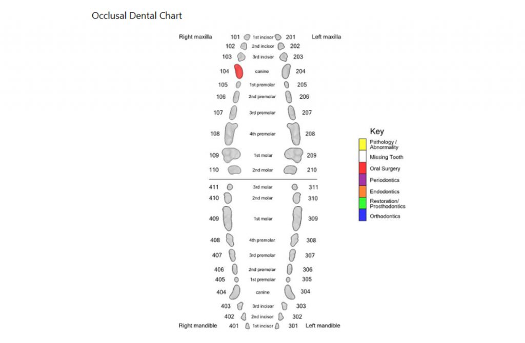 Screenshots – Animal Dental Chart